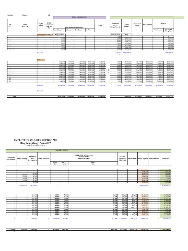 Payroll Report Example | PDF