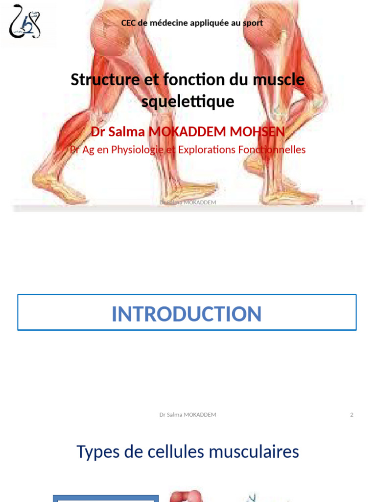 Structure Et Fonction Du Muscle Squelettique | PDF | Contraction du muscle | Muscle