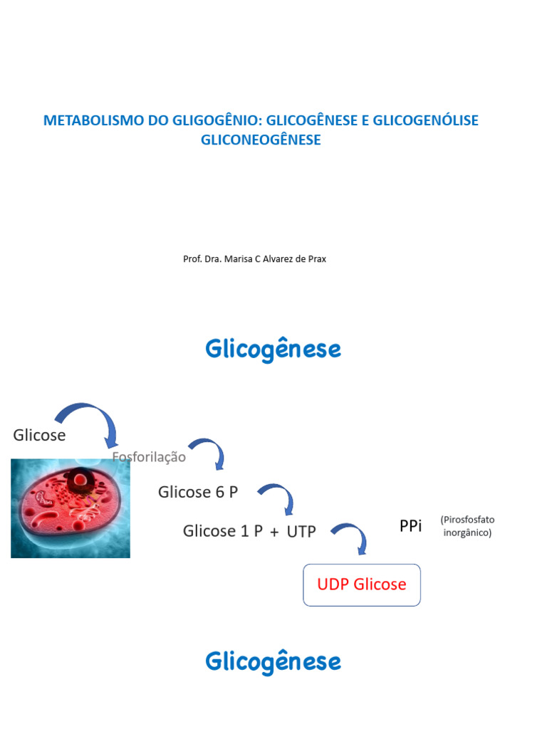 Metabolismo do Glicogênio: Glicogênese e Glicogenólise | PDF ...