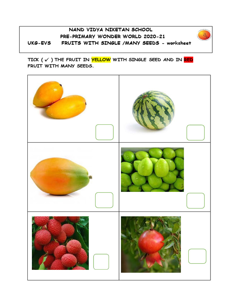 UKG EVS: Fruit Seeds Worksheet | PDF