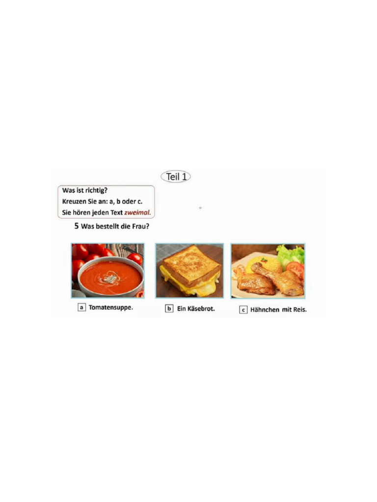 German A1 Horen Model Paper 2024 Pdf