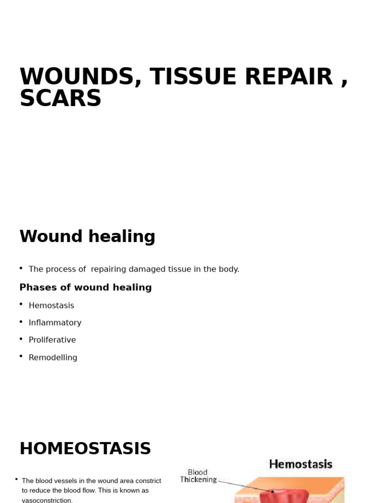Wound Healing - em | PDF | Wound Healing | Wound