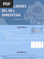 Resumen Capitulo 46 Guyton | PDF | Sinapsis | Neurona