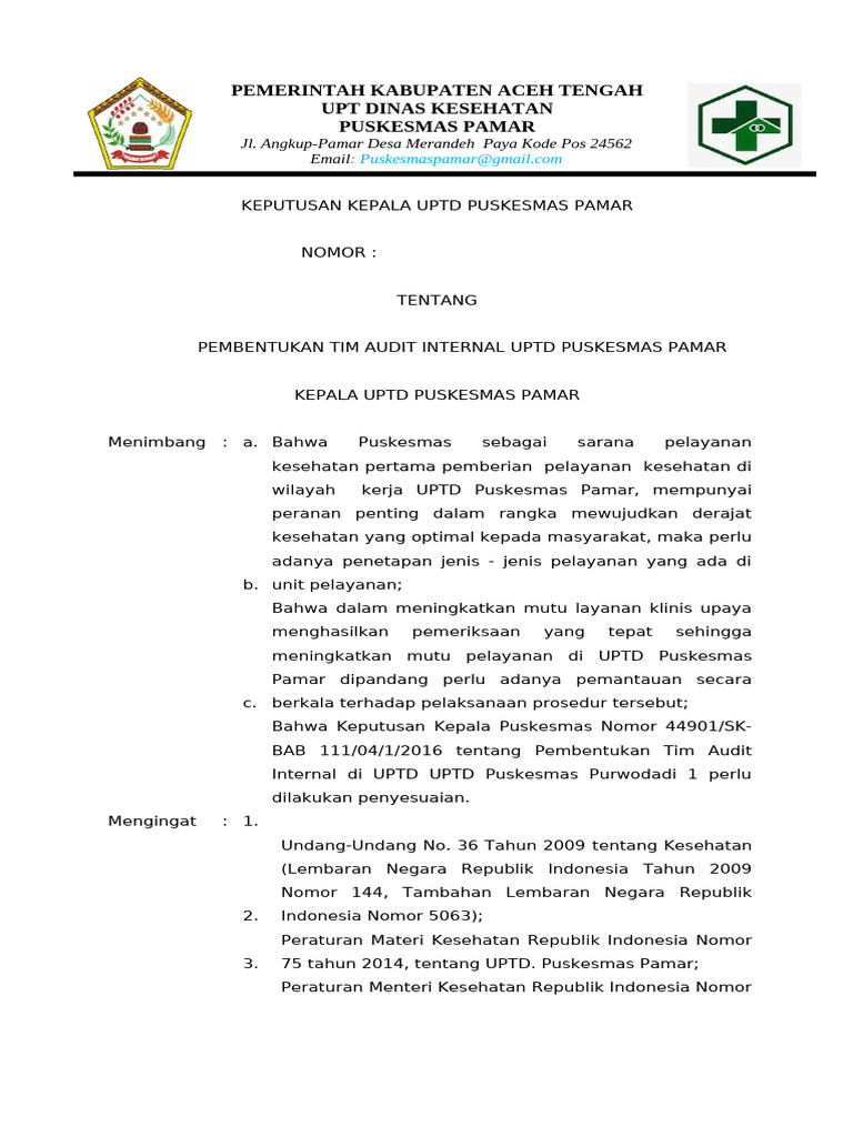 Pembentukan Tim Audit Internal Puskesmas | PDF
