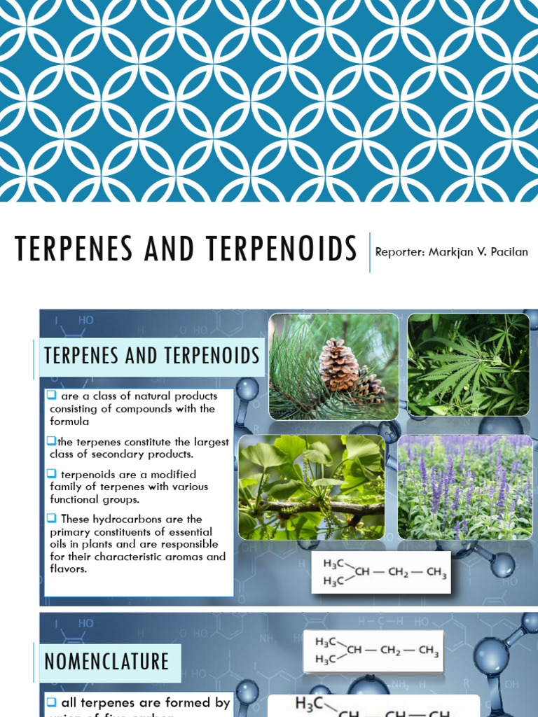 Terpenes and Alkaloids Overview | PDF | Alkaloid | Flavonoid