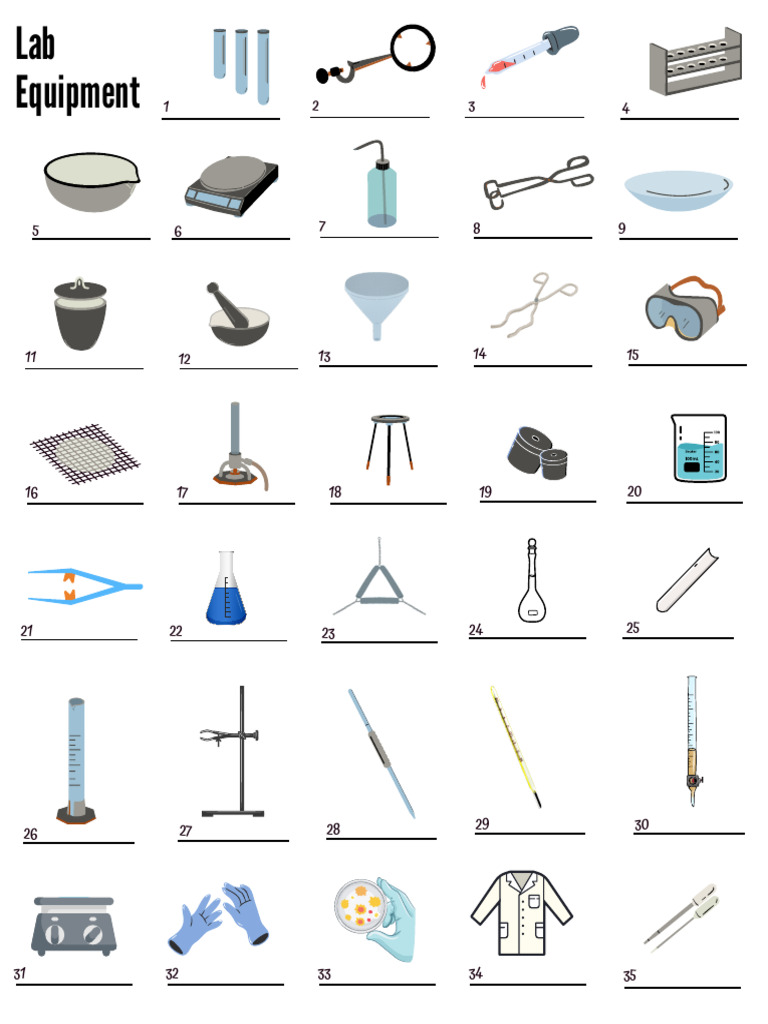 2 - Identifying Science Lab Equipment - Worksheet & Key | PDF
