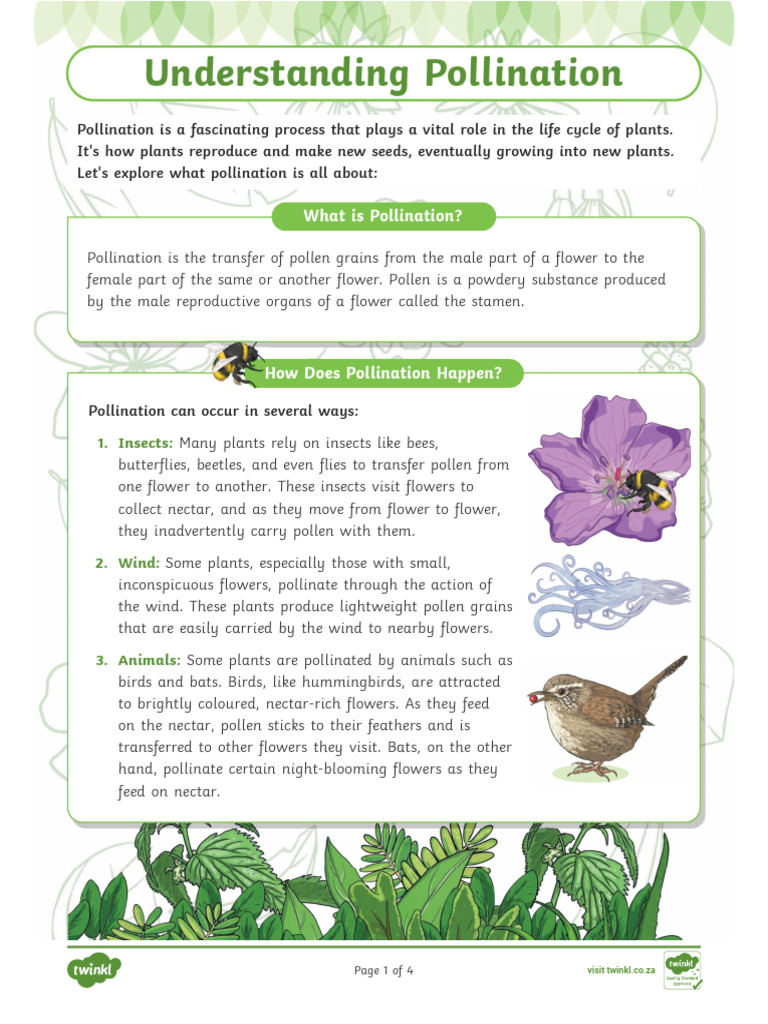 Understanding pollination | PDF | Pollination | Pollen