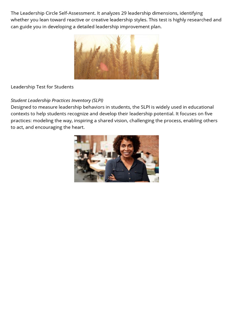 Leadership Circle Self-Assessment Guide | PDF