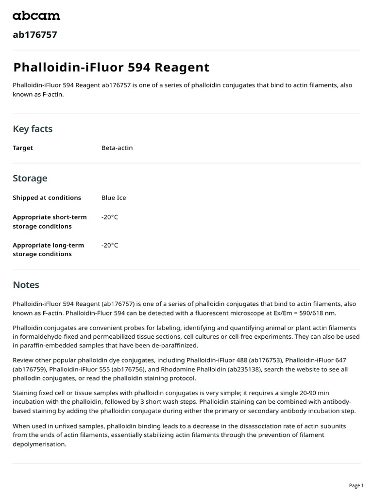 Phalloidin Ifluor 594 Reagent Ab176757 | PDF | Actin | Cytoskeleton