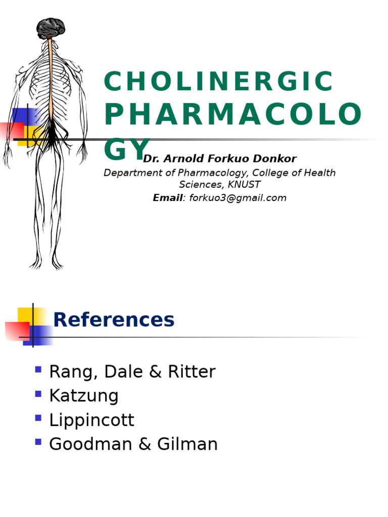 Cholinergic Pharmacology Overview | PDF | Acetylcholine | Motor Neuron