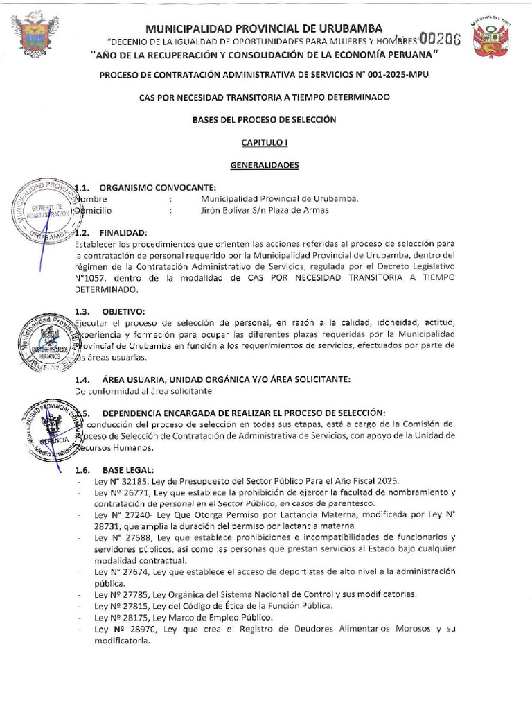 Bases Cas N 001 2025 Mpu | PDF