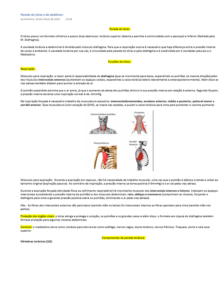 Parede Do Tórax e Abdome | PDF
