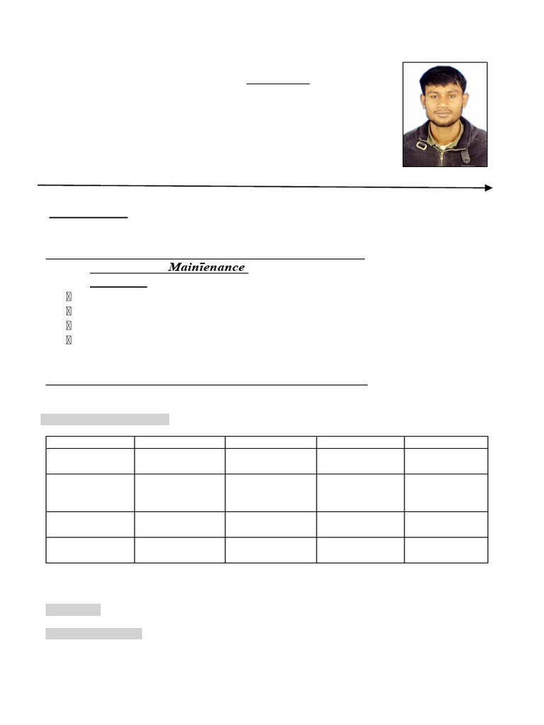 Mehdi Alam - Maintenance Executive Resume | PDF