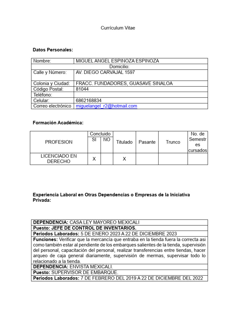 CV Miguel Inegi 2024 | PDF