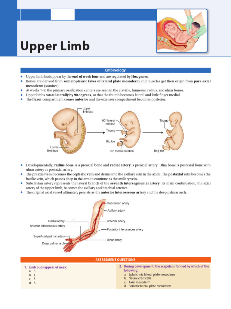 Surgery 2nd Internal | PDF