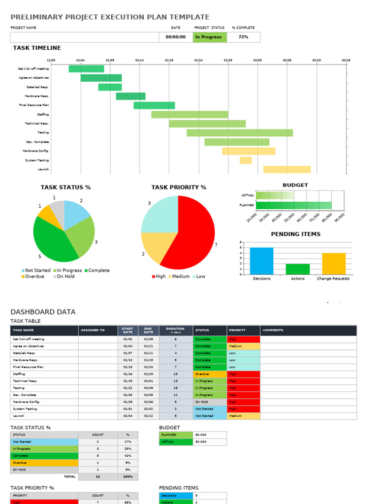Preliminary Project Execution Plan | PDF | Computing | Information Technology