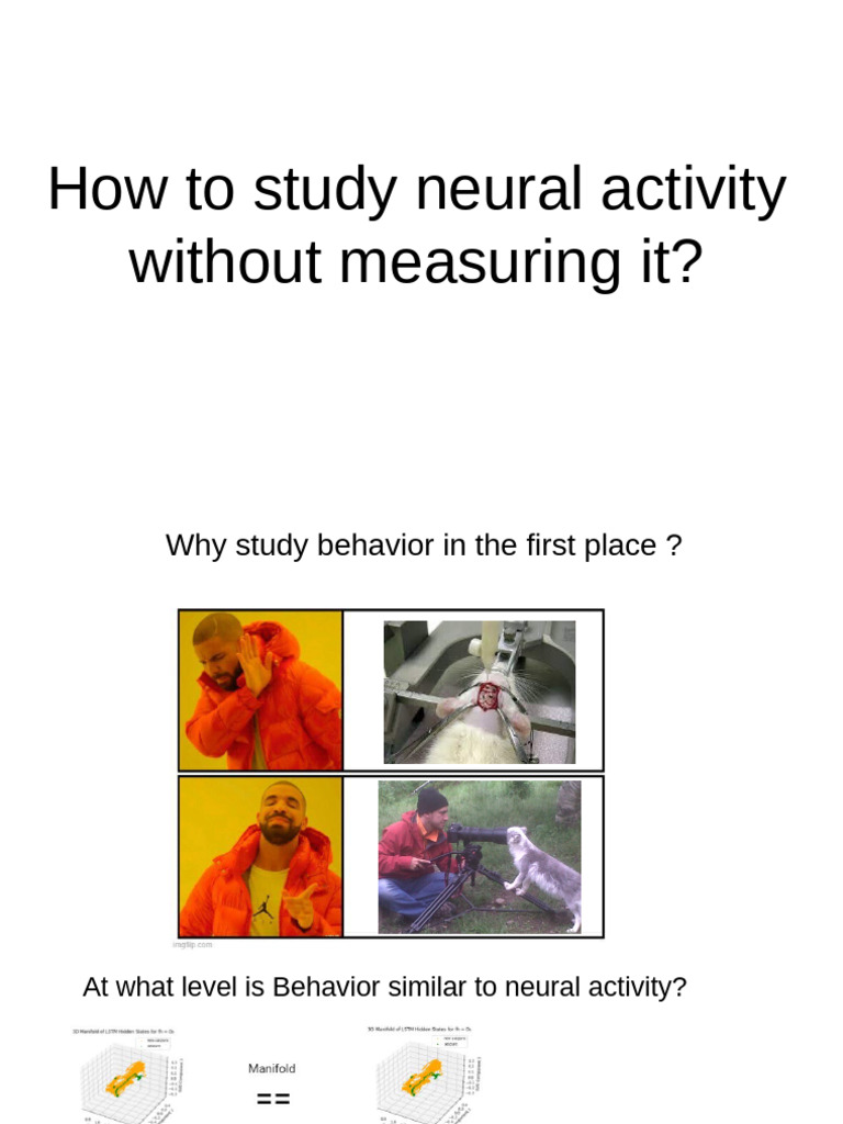 How To Study Neural Activity Without Measuring It | PDF | Dimension ...
