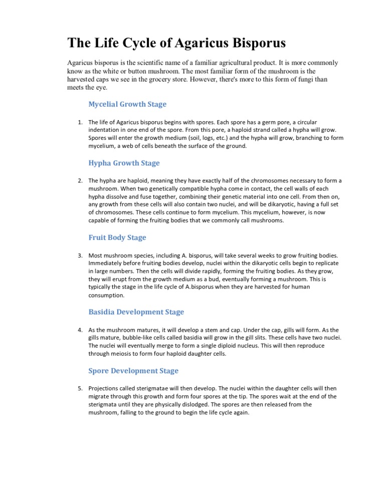The Life Cycle of Agaricus Bisporus | PDF | Mushroom | Ploidy