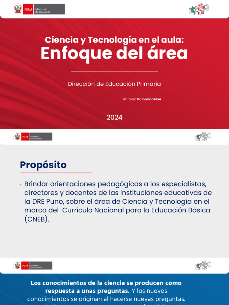 Enfoque de Ciencia y Tecnología Primaria | PDF | Experimentar | Importar