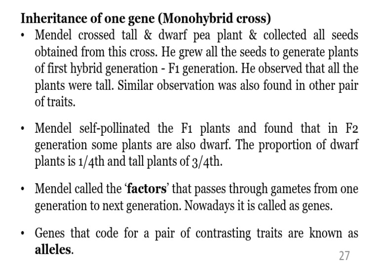Inheritance of One Gene (Monohybrid Cross) | PDF