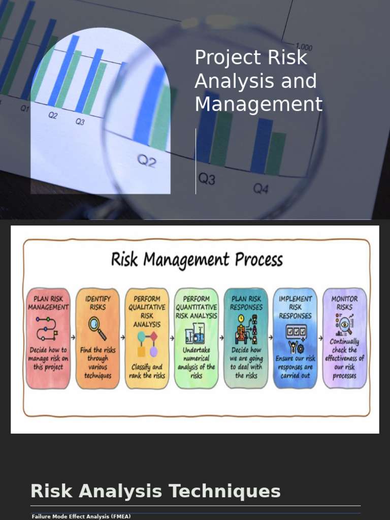Project Risk Analysis Techniques Guide | PDF