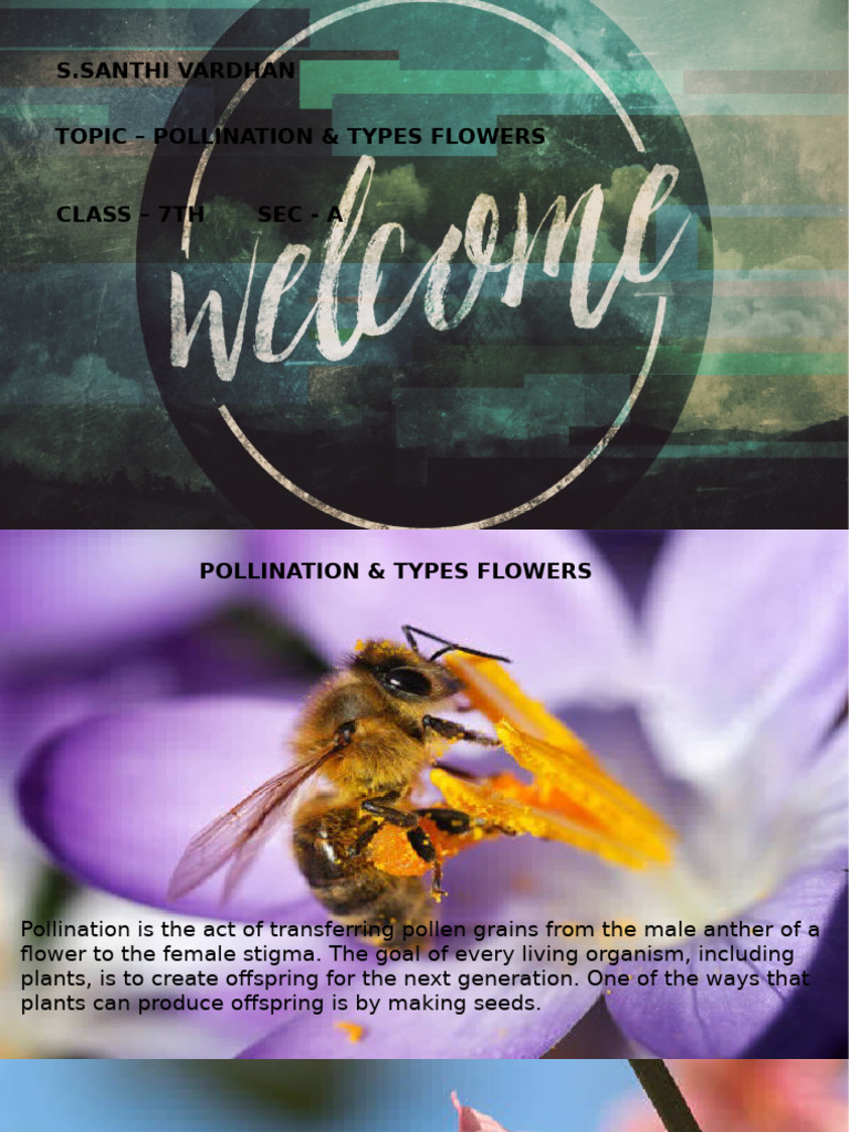 Pollination & Types of Flower 2 | PDF | Pollination | Flowers