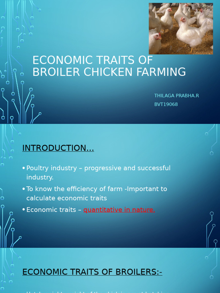 Economic Traits of Broiler Chicken | PDF