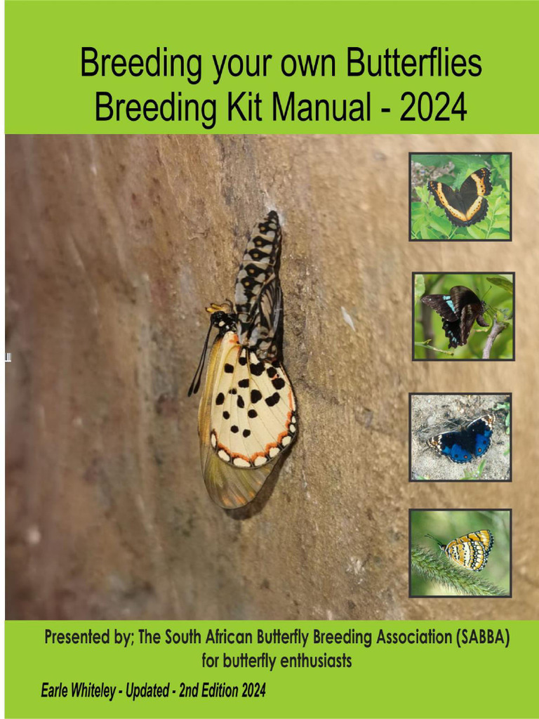 DIY Butterfly Breeding Guide | PDF | Pupa | Butterfly