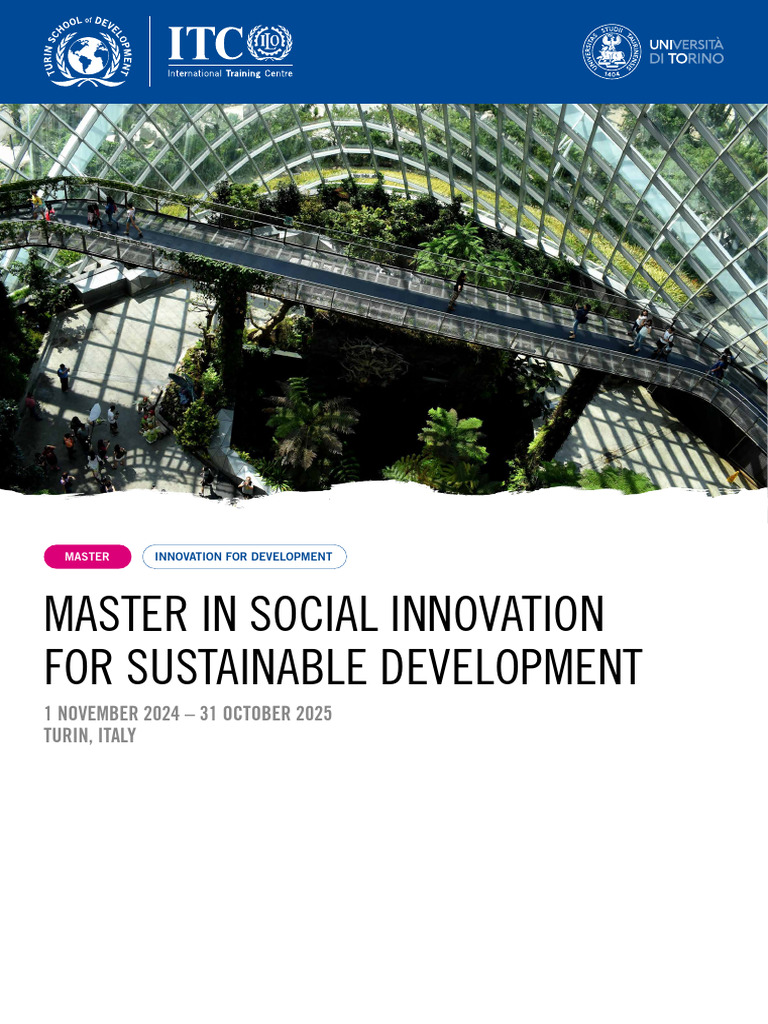 A9717065_TSD_Master Social Innovation 2024-25-3 | PDF | Innovation | Sustainability
