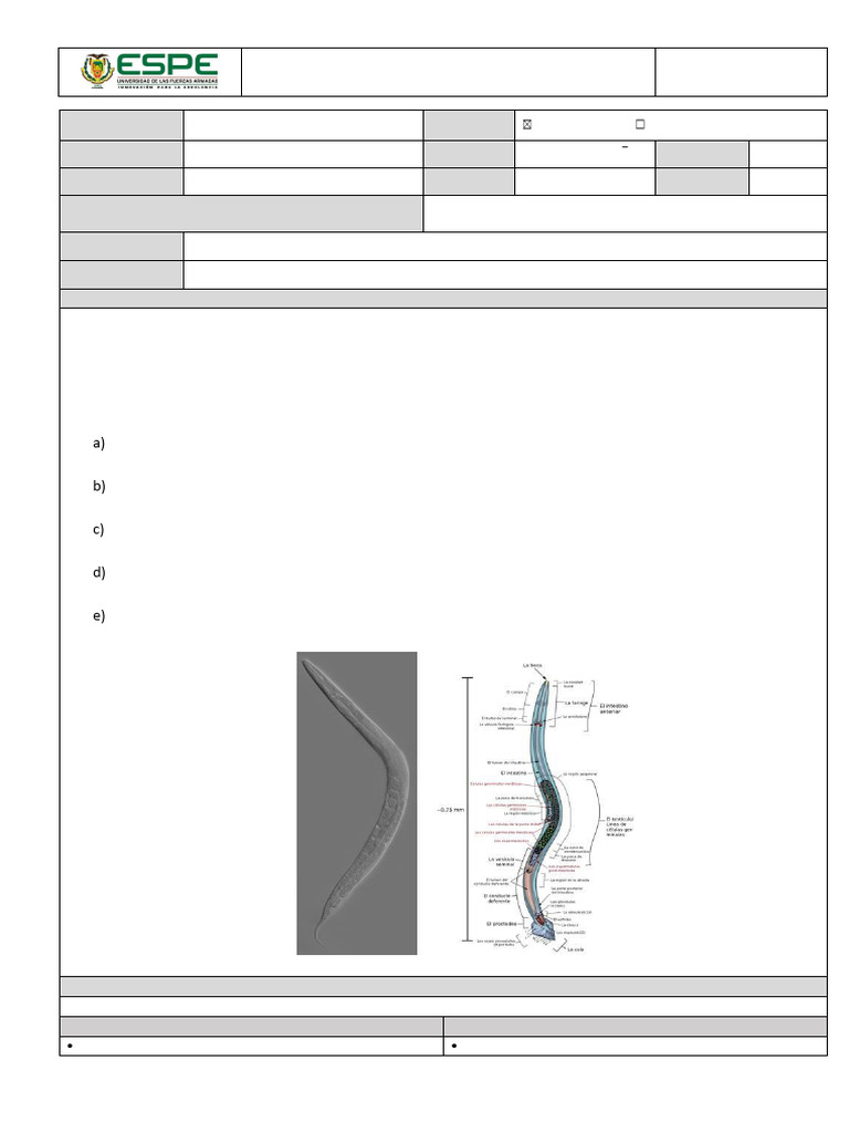 Inf Practica Extraccion de Nematodos - G2 | PDF | Agricultura | Agua