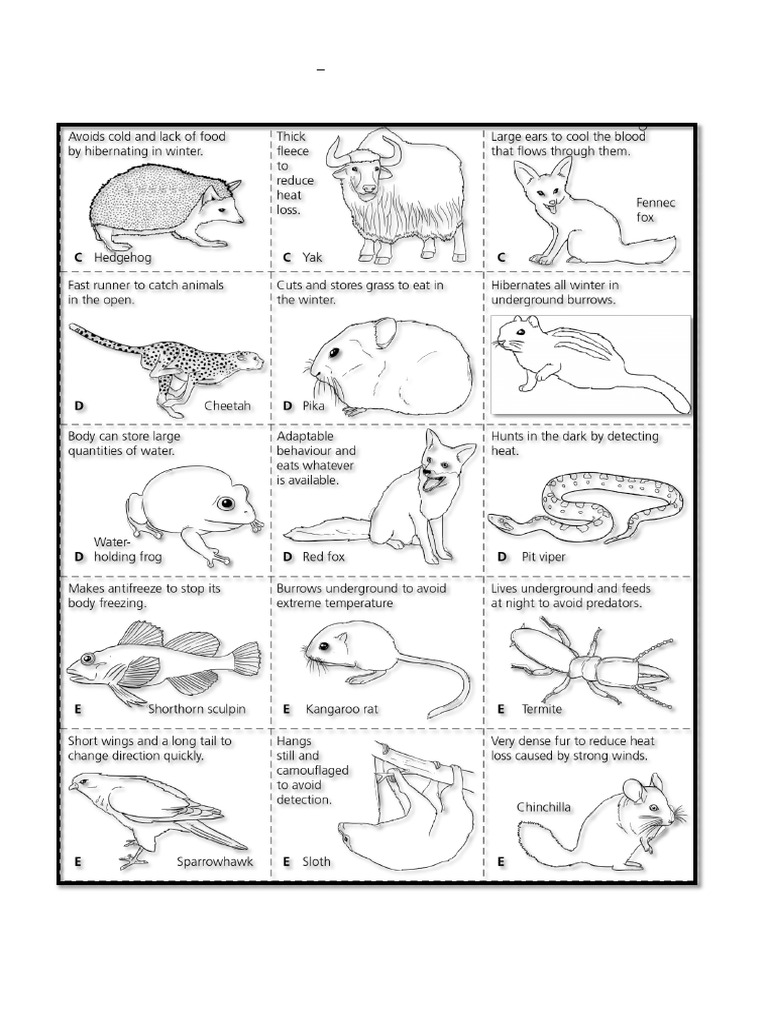 General Sci 6 | PDF