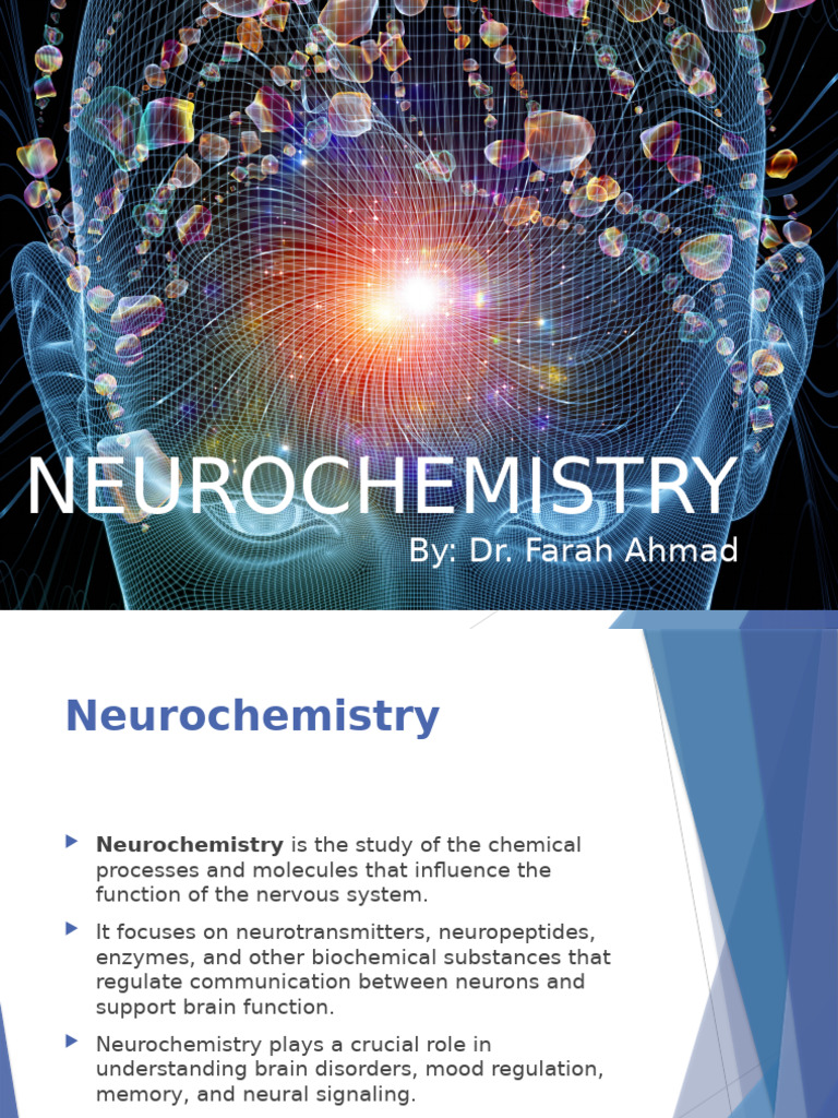 Neurochemistry and Neuroanatomy Overview | PDF | Neuron | Nervous System