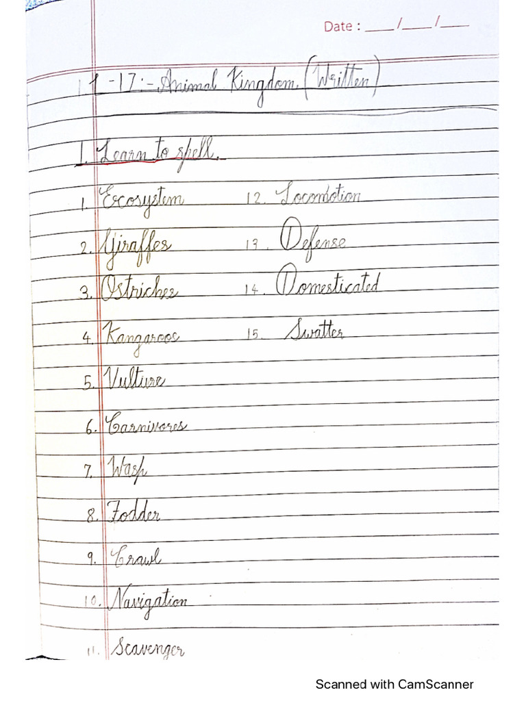 Animal Kingdom .Anay Aneesh 3-k | PDF