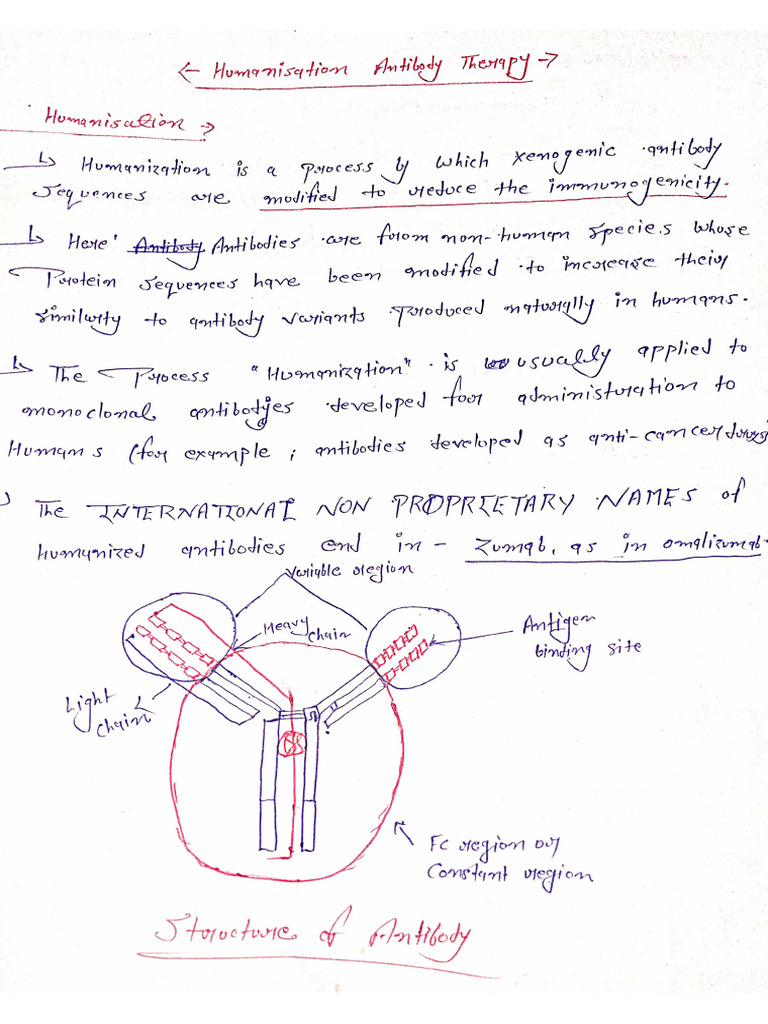 Humanization Antibody Therapy | PDF
