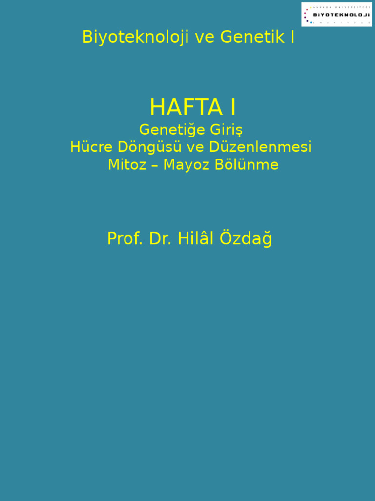 Hafta 01 | PDF