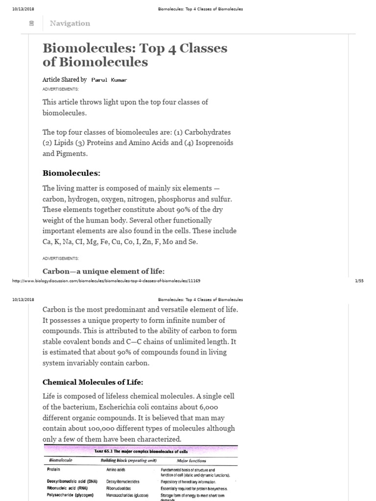 Top 4 Classes of Biomolecules Explained | PDF | Carbohydrates ...