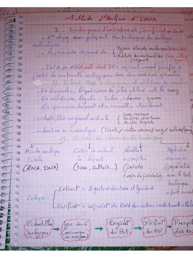 Méthode D'analyse d'ADN | PDF