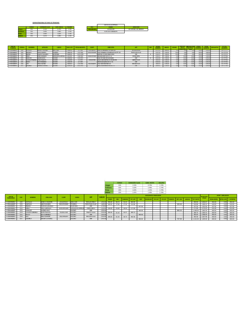 Ejemplo de Planilla de Remuneraciones | PDF | Pensión