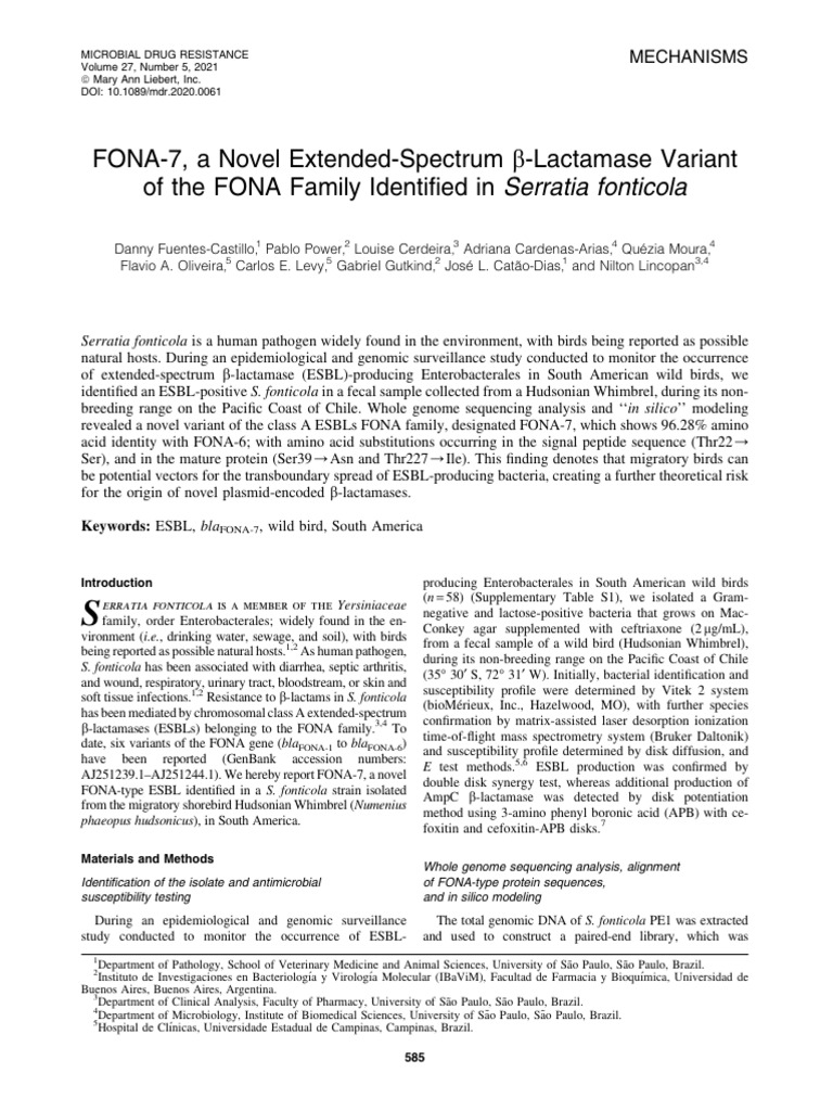 FONA-7, A Novel Extended-Spectrum B-Lactamase Variant of The FONA Family Identified in Serratia ...