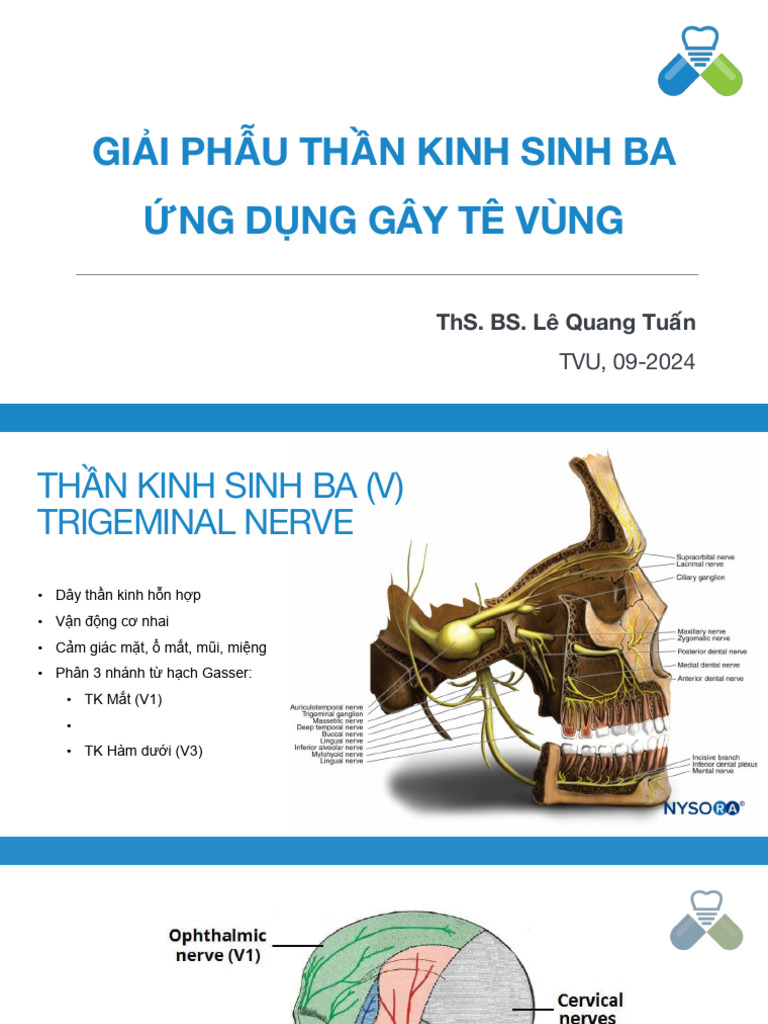 2. Trigeminal Nerve, Local Anesthesia | PDF