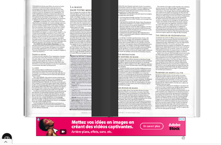 D&D5 FR - Guide Du Maître 2 | PDF