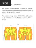 Four Types of Pelvis Explained | PDF | Pelvis | Anatomy