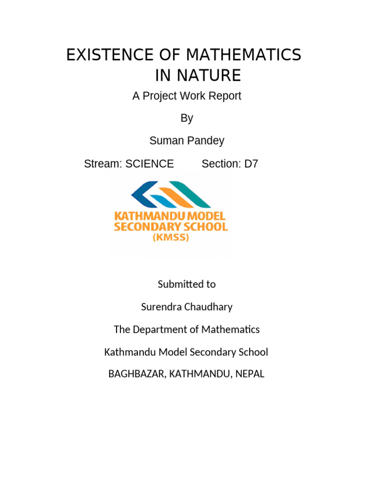 EXISTENCE-OF-MATHEMATICS | PDF | Mathematics | Fractal