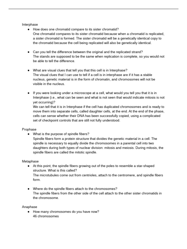 Stop Motion Mitosis Animation Project Questions Answers | PDF | Mitosis ...