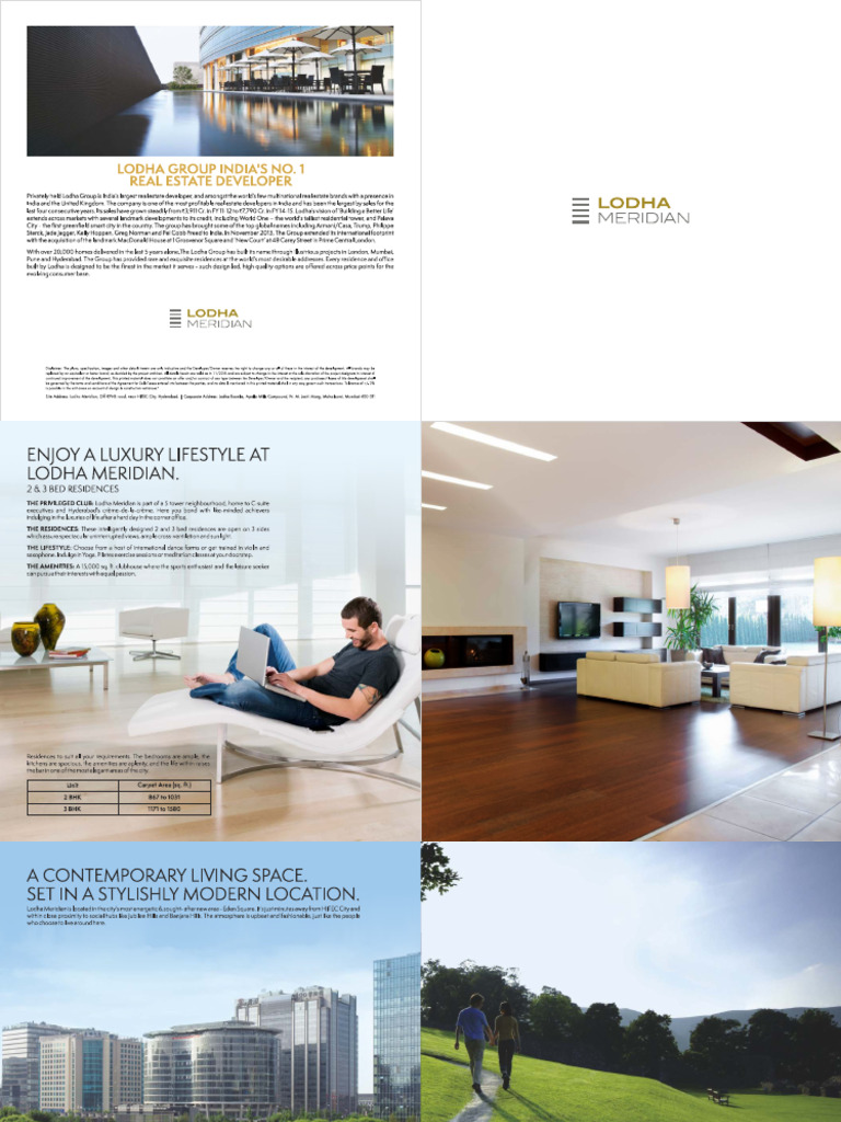 Meridian Brand File | PDF