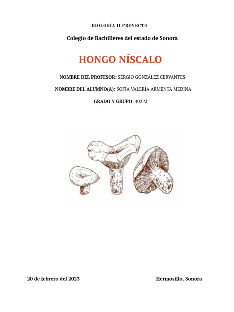 Proceso de Reproducción Del Hongo Níscalo | PDF | Organismos | Biología
