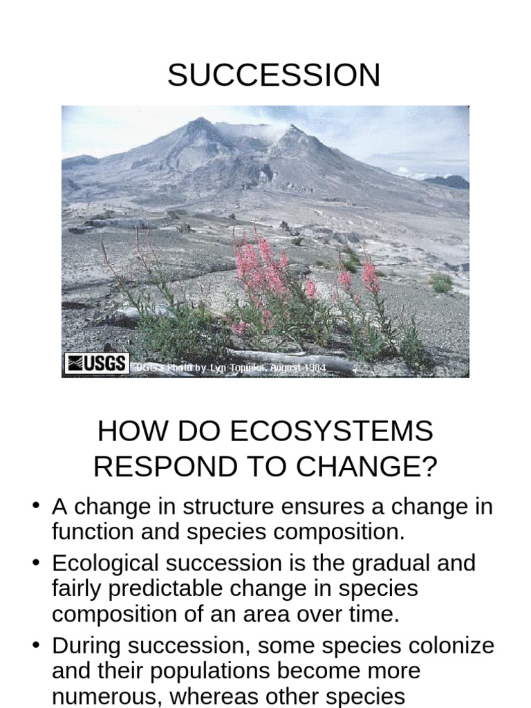 Succession | PDF | Forests | Biogeography