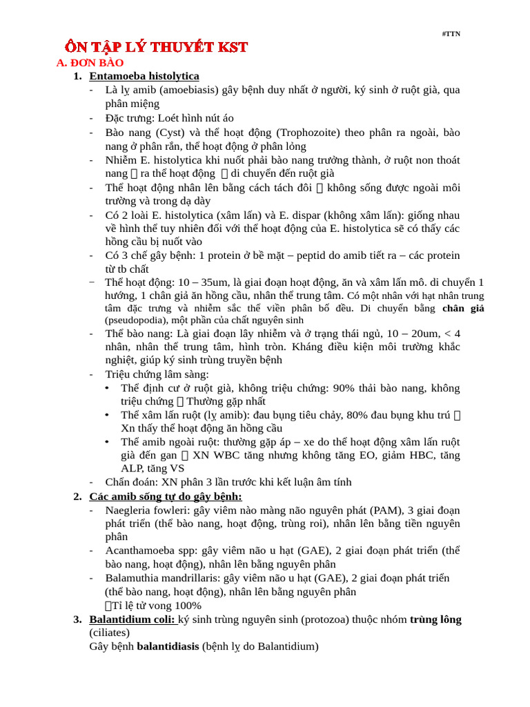 ÔN TẬP LÝ THUYẾT KST | PDF