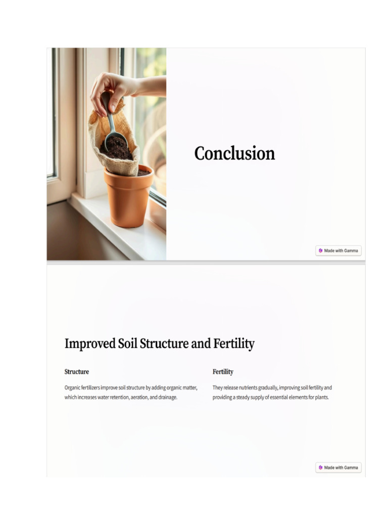 CONCLUSION | PDF