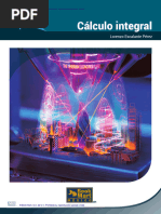 Libro de Calculo Integral Dgeti Resuelto | PDF
